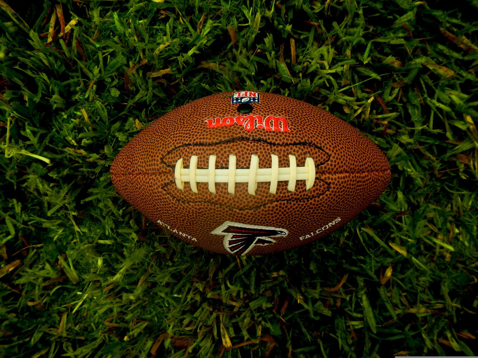 Indiana Welcomes Chicago Bears – The Beacon